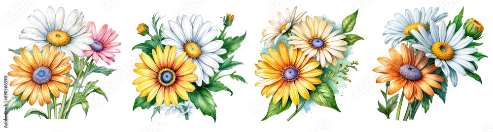 Set of Watercolor Daisies Flower Clipart on transparent background ...