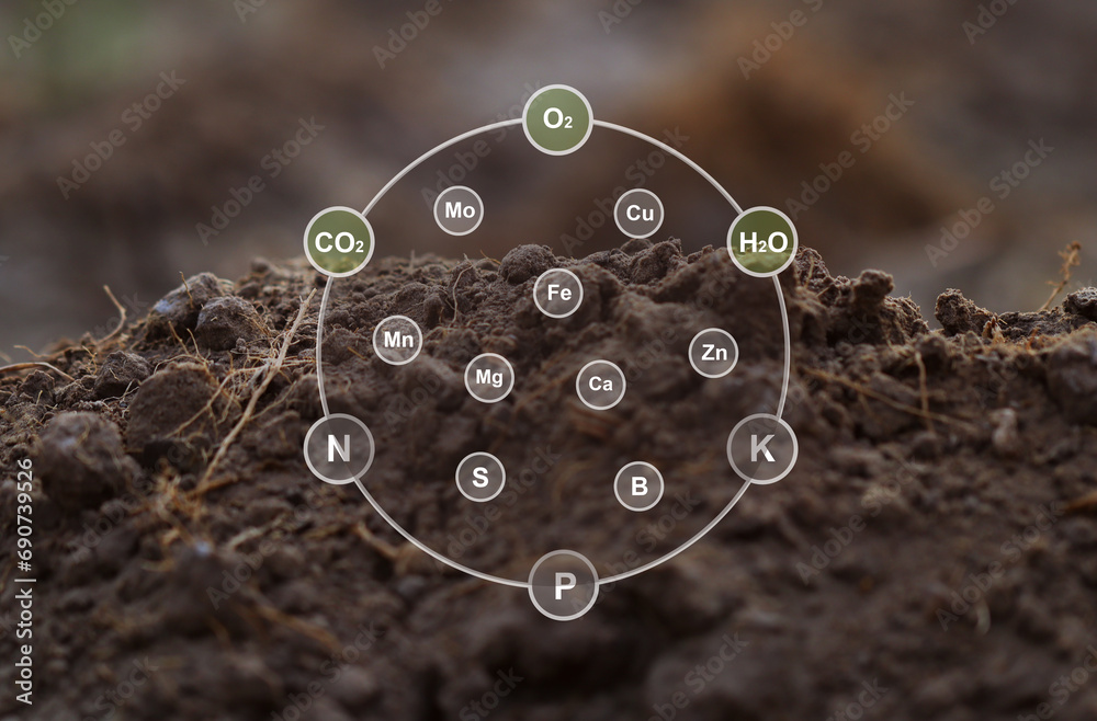 Soil background with 16 digital nutrients icon which necessary in plant ...