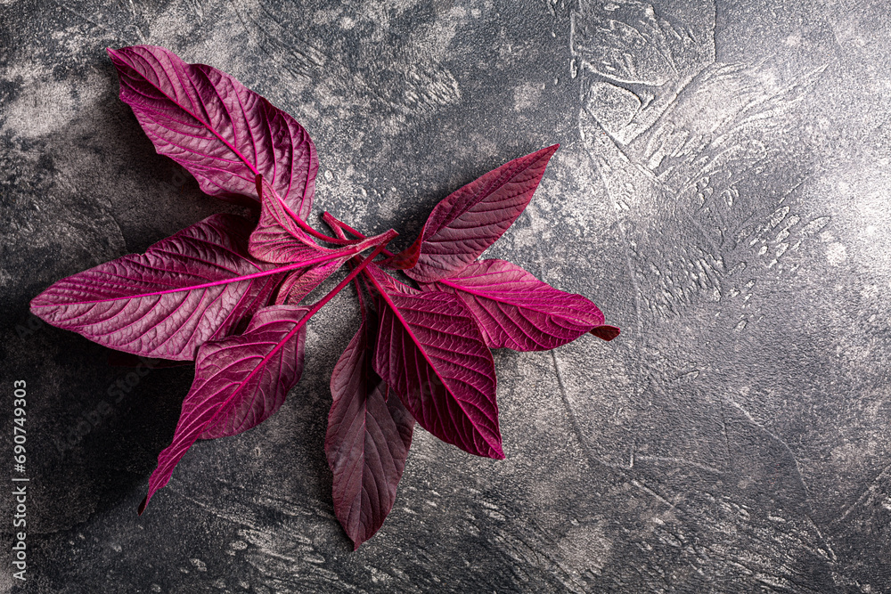 Red Amaranth leaves atop dark textured backdrop, top view. Amaranthus ...