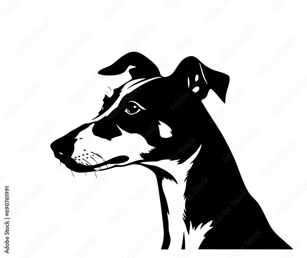 Vector isolated one single sitting English Greyhound dog head front ...