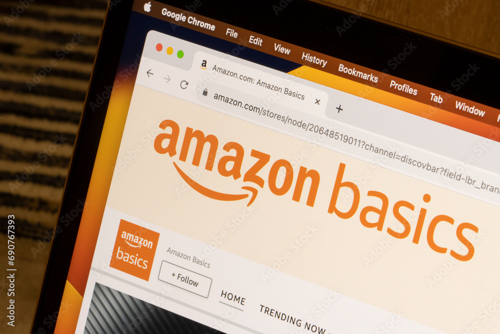 Portland, OR, USA - Dec 1, 2023: Webpage of Amazon Basics is seen on a ...