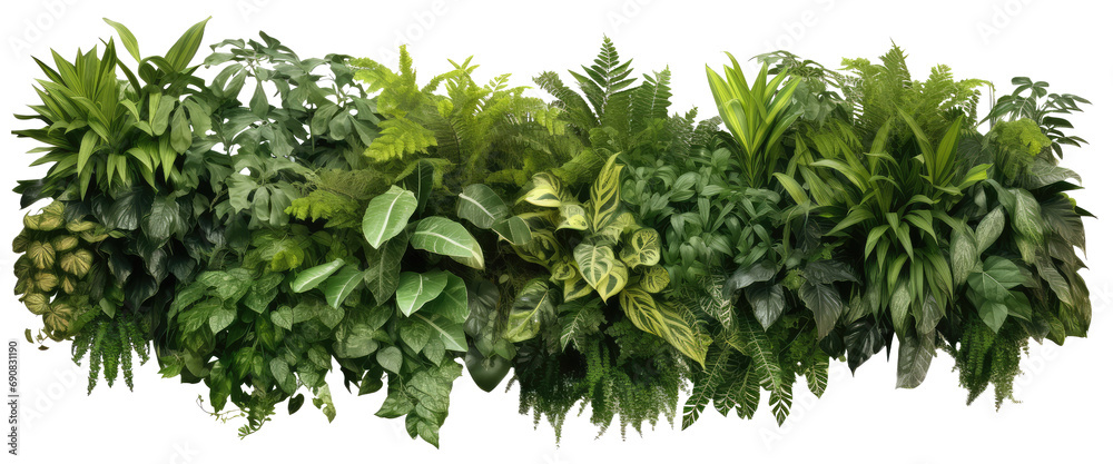 green jungle bush isolated on transparent background Stock Illustration ...