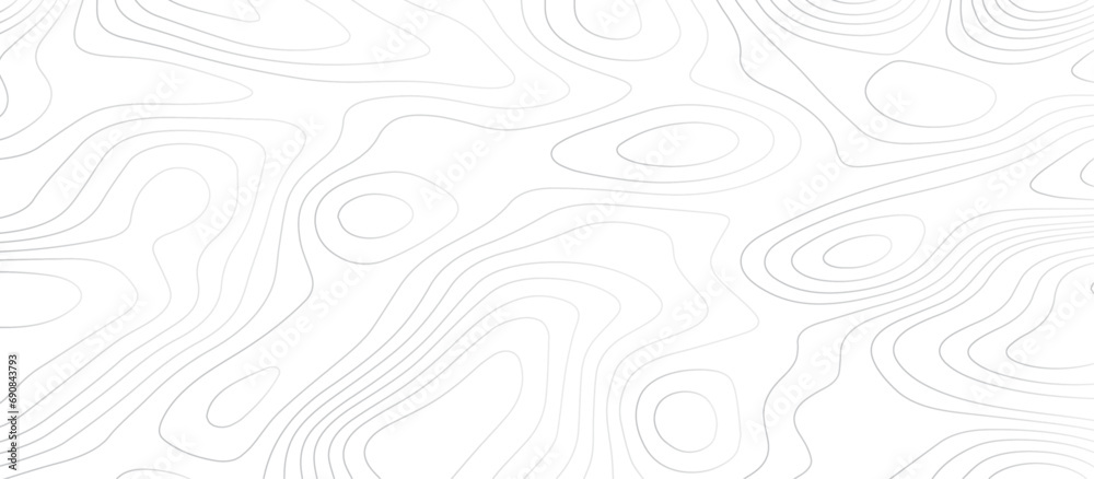 abstract White wave paper curved reliefs background .Panorama view ...