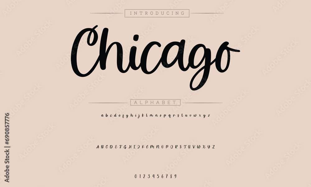 Chicago signature Font Calligraphy Logotype Script Brush Font Type Font ...