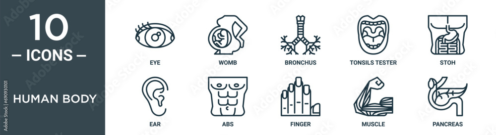 human body outline icon set includes thin line eye, womb, bronchus ...
