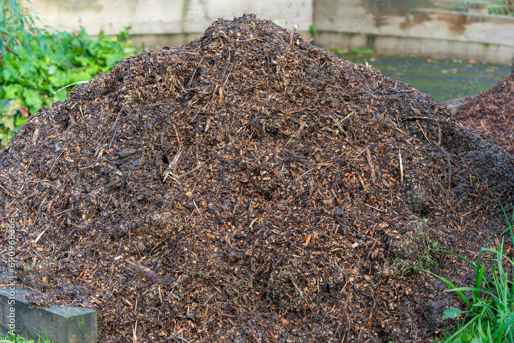 Rotting heap of organic vegetation garden waste to be recycled in the ...