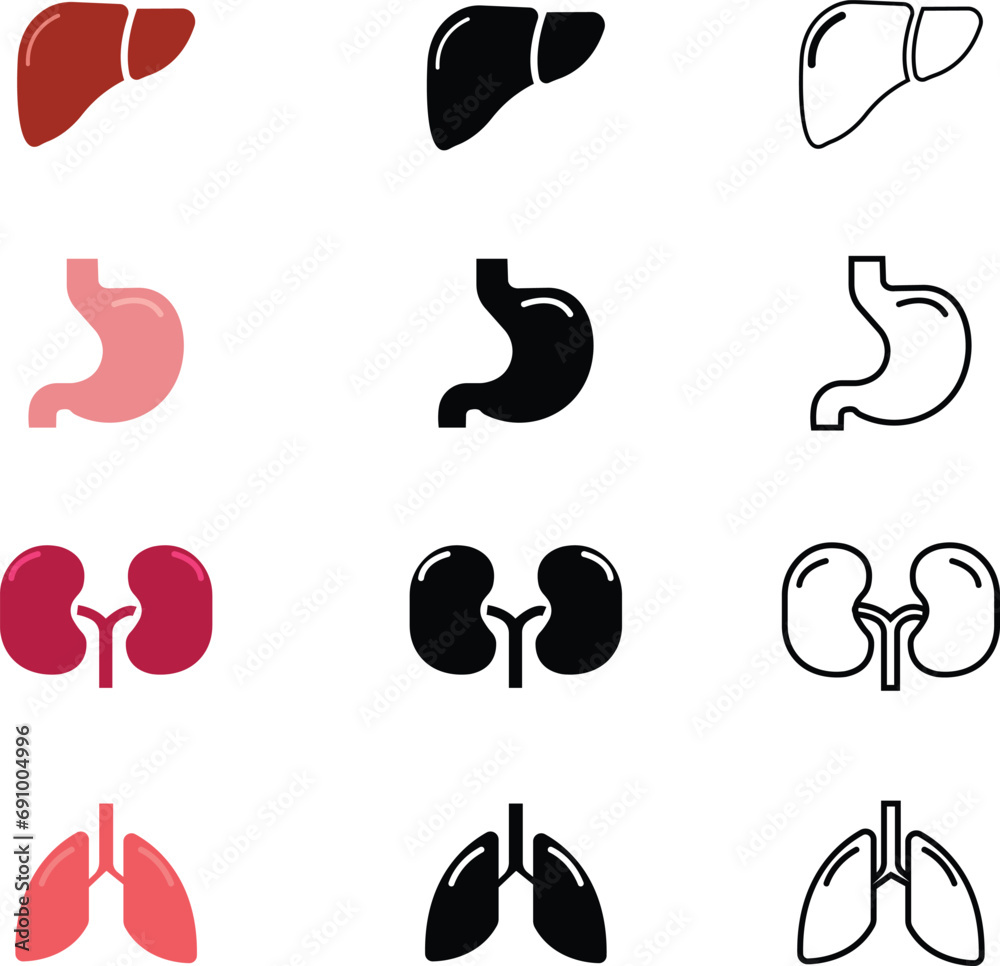 Set of human internal organs, , liver, kidneys, lungs , stomach icon ...
