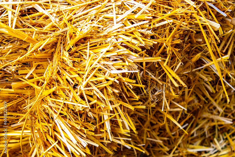 Hay background. Haystacks background, texture. Wheat gold hay in field ...
