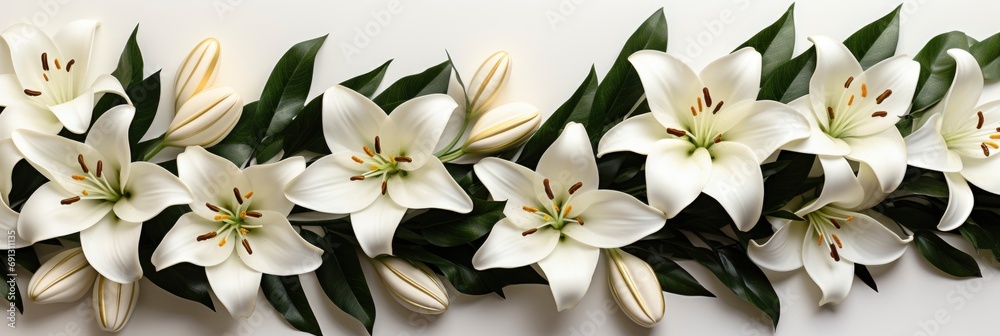 White Lily Flowers Banner Flower, Banner Image For Website, Background ...