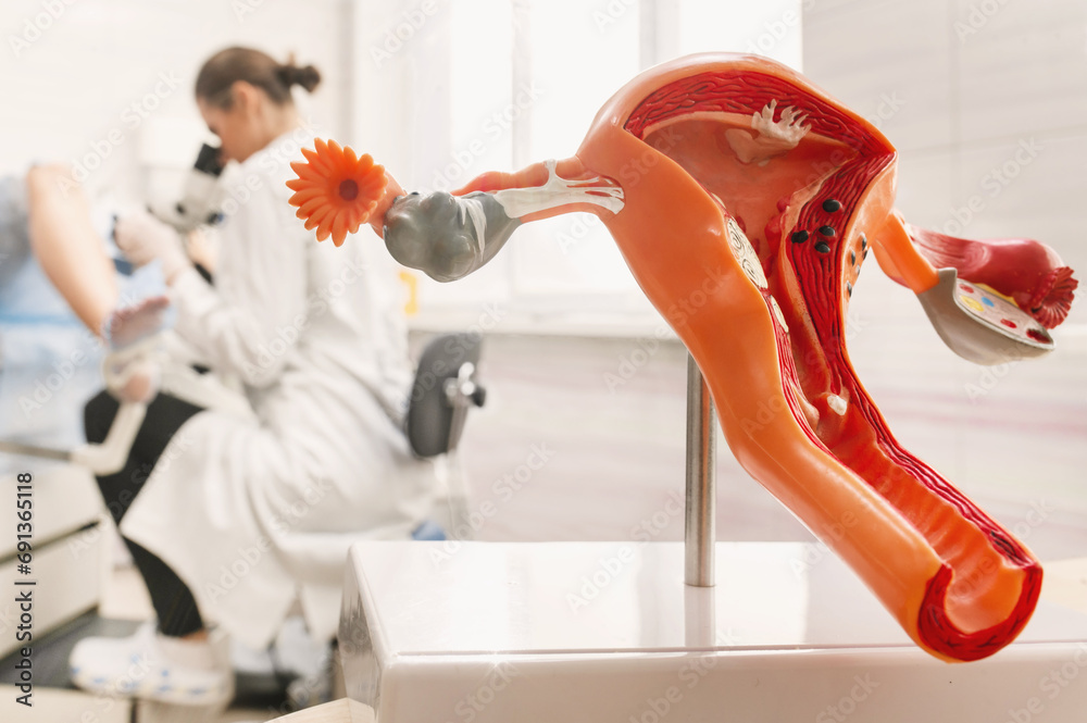 Medical examination in a gynecologist's chair, taking care of women's ...