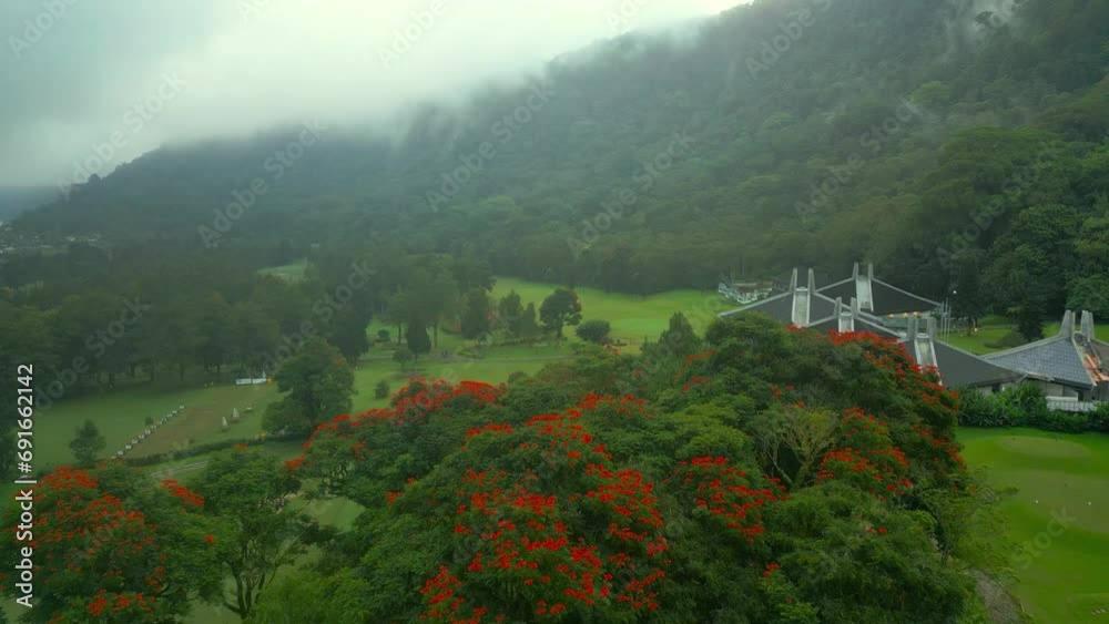 Delonix regia trees with red flowers and green golf pole on cloudy and ...