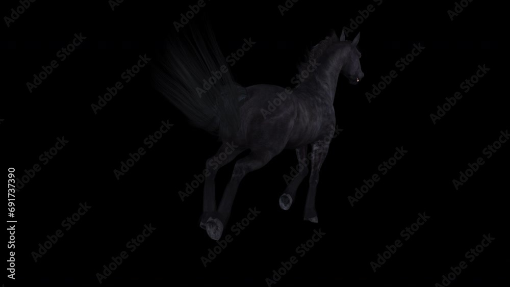 Black Horse - Gallop Loop - Back Angle View CU - Realistic 3D animation ...