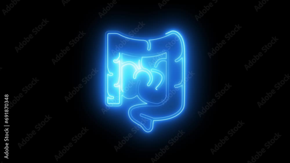 Neon anatomy of the human digestive system. Anatomy of the human ...