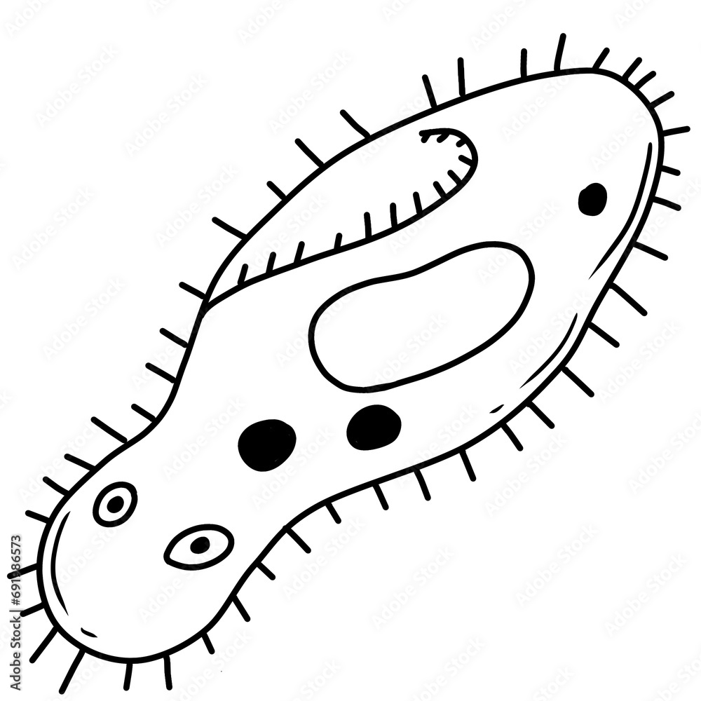 black line art of paramecium on a transparent background, coloring book ...