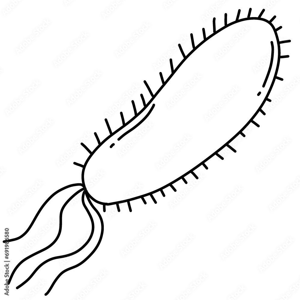 black line art of bacteria E.coli on a transparent background, coloring ...