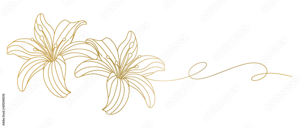 Spring flower line art style vector with transparent background Stock ...