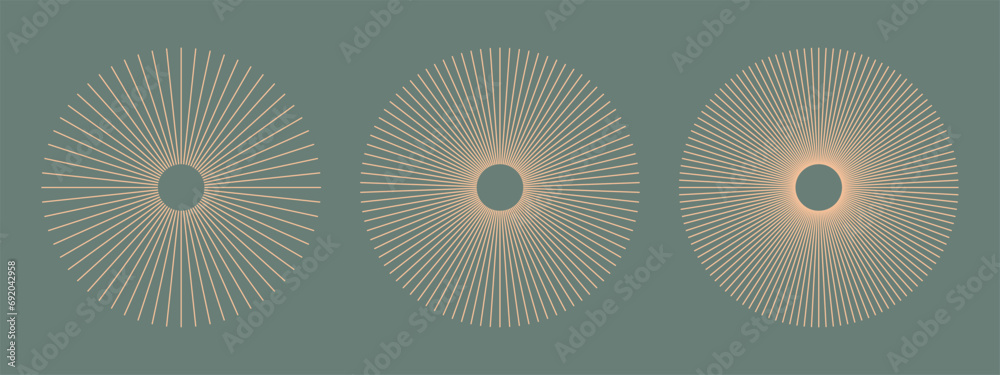 Radial circle lines. Circular lines elements. Symbol of Sun star rays ...
