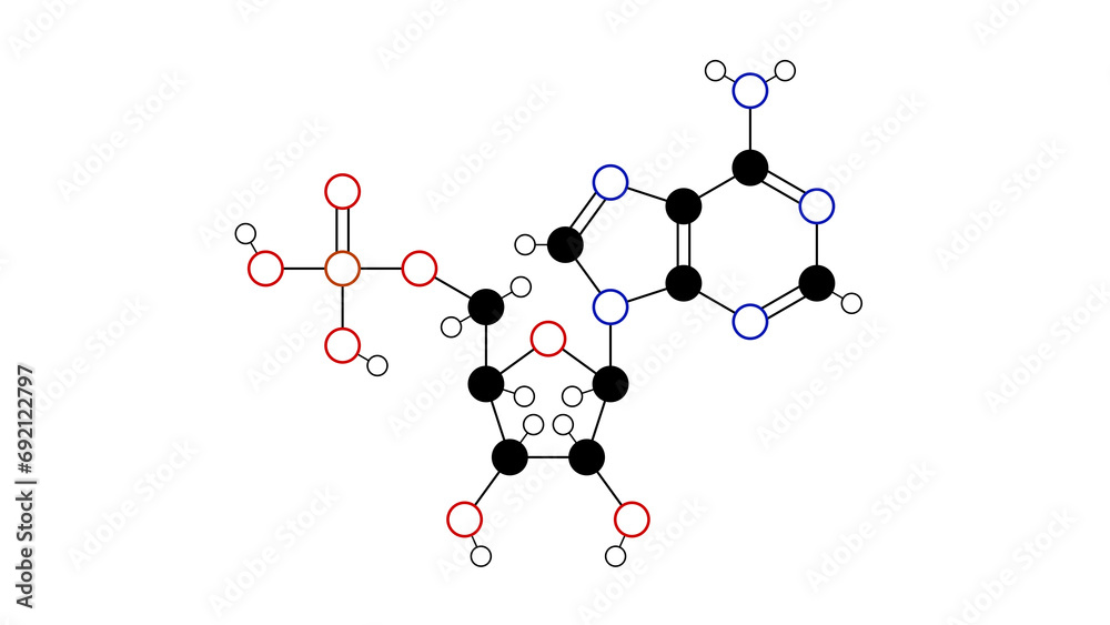 Adenosine Monophosphate Molecule Structural Chemical Formula Ball And Stick Model Isolated