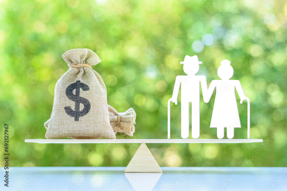 Financial Planning for Seniors : Balancing Retirement Income and ...