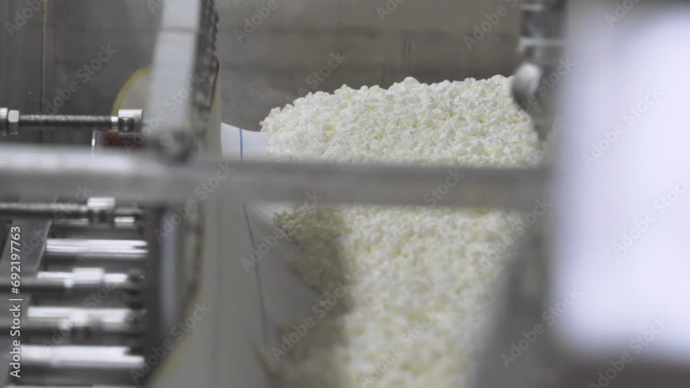 Dairy Factory. A Close-up of Whey Cheese Pieces that are Slowly Making ...