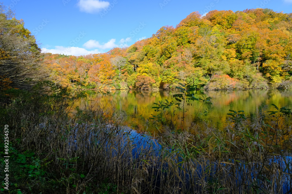 白神山地の麓にある十二湖の紅葉 落口の池 青森県 Stock Photo | Adobe Stock