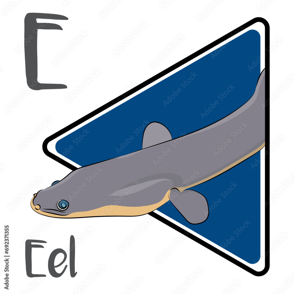 Eels are elongated fish that possess no pelvic fins. The eel is famous ...