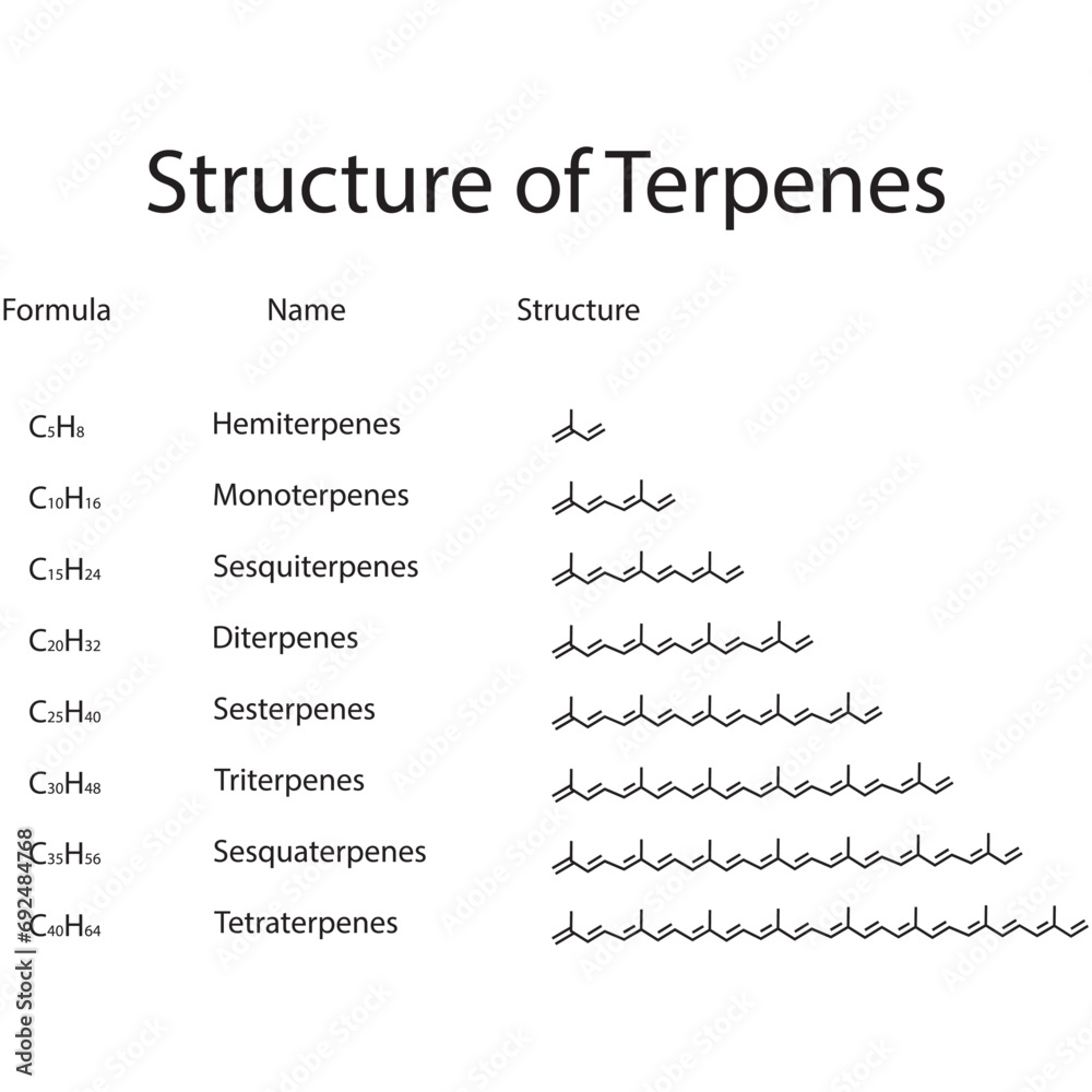 Diagram of Terpenes structure - Hemiterpenes, Monoterpenes, Diterpenes ...