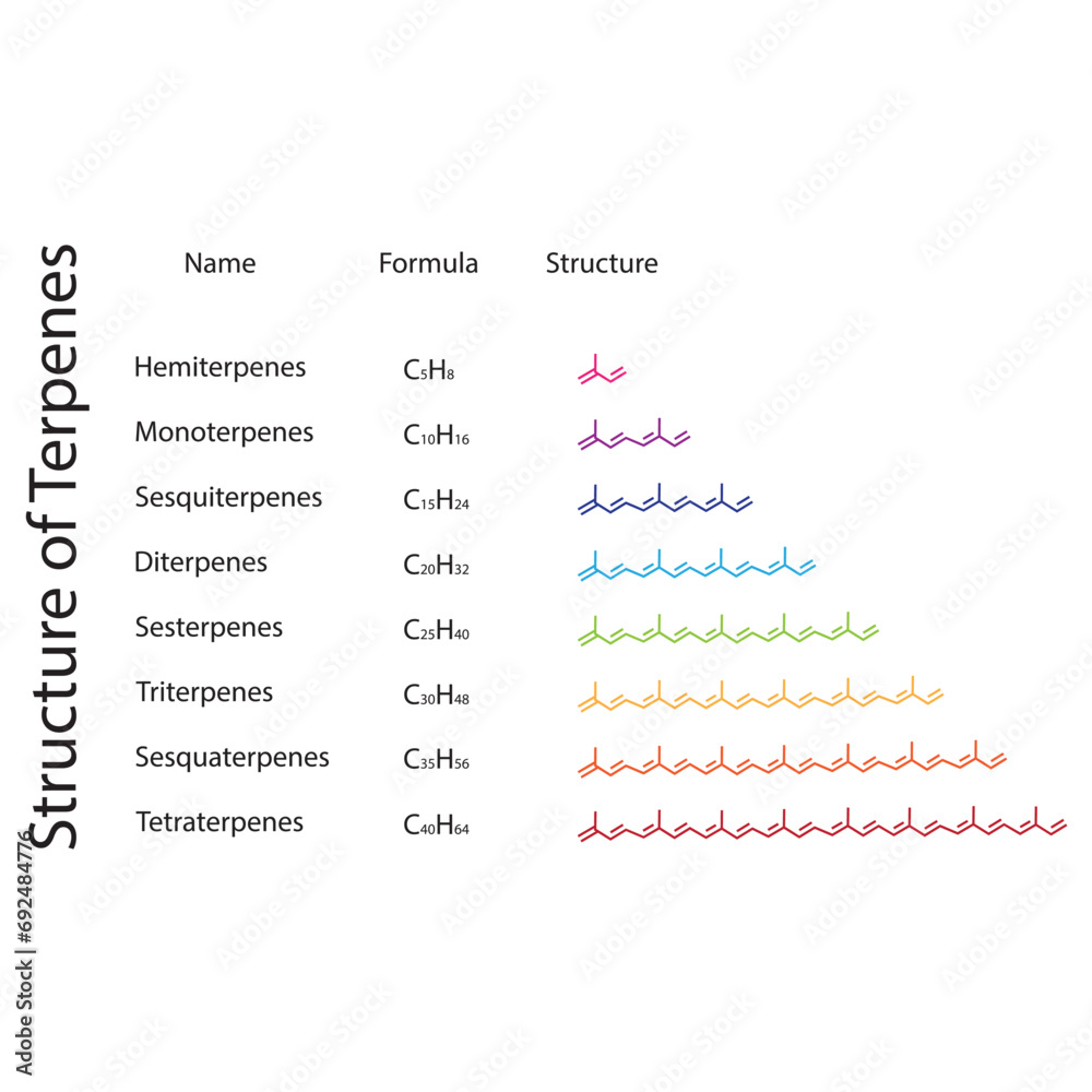Diagram of Terpenes structure - Hemiterpenes, Monoterpenes, Diterpenes ...