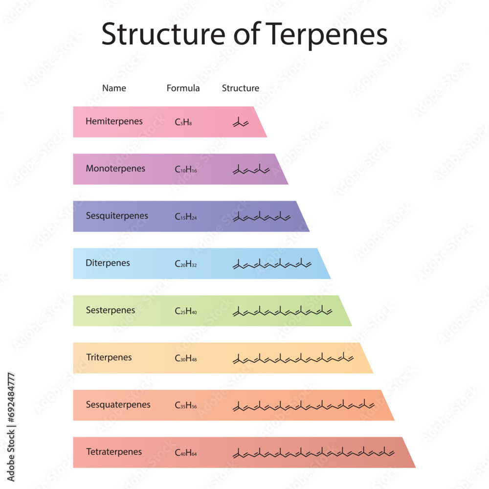 Diagram of Terpenes structure - Hemiterpenes, Monoterpenes, Diterpenes ...