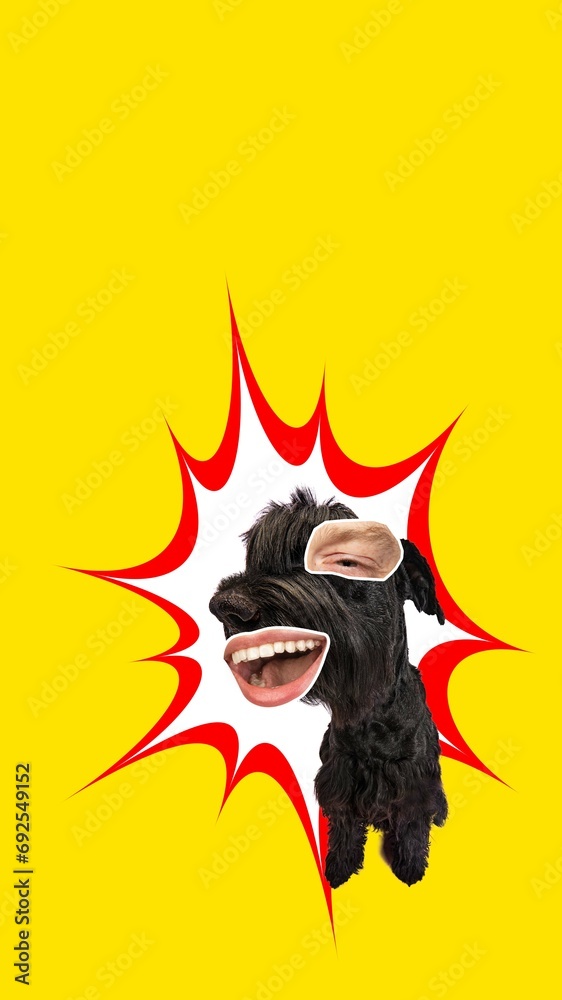 In a good mood. Purebred furry black dog with male eyes and lips ...