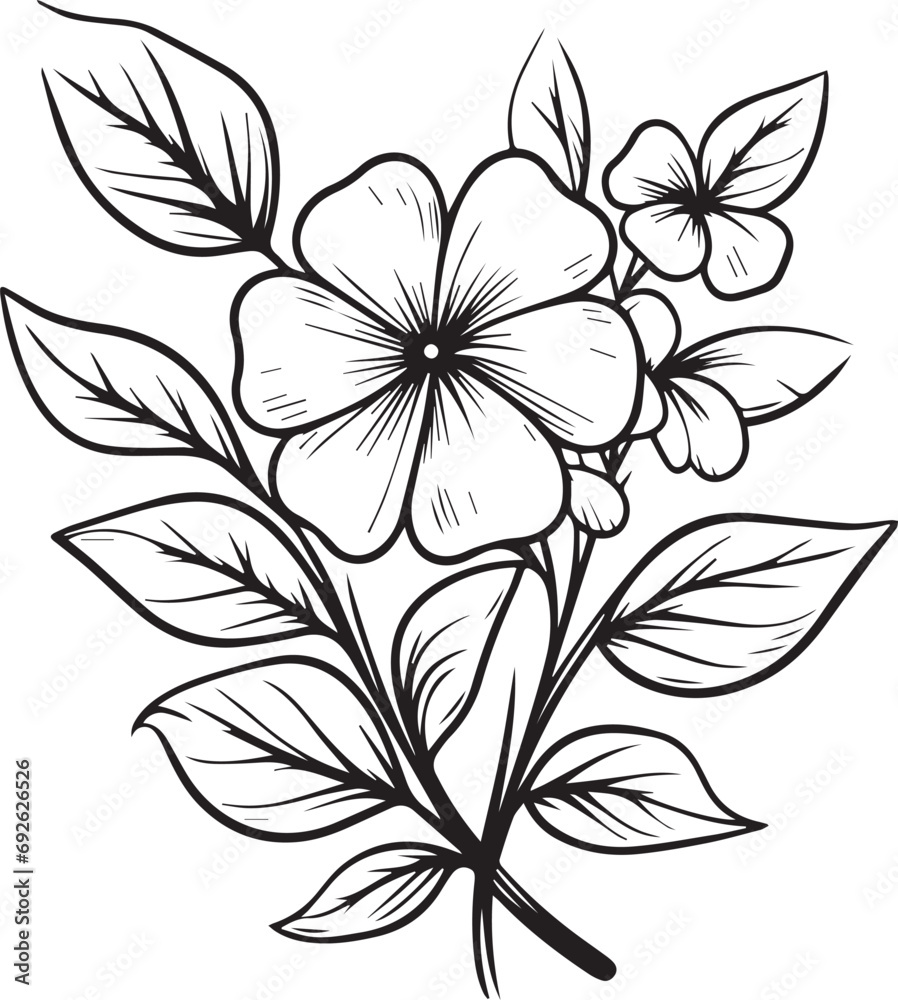 periwinkle flower sketch, clip art minimalist periwinkle flower outline ...