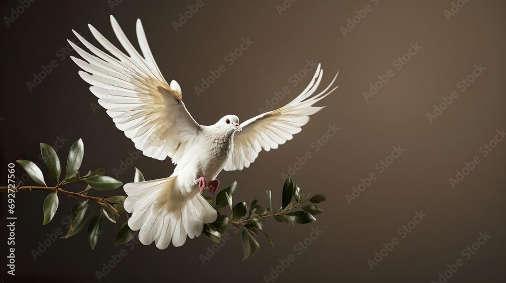 White dove of peace with green olive branch is a symbol of peace and ...