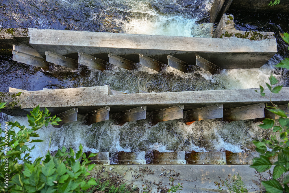 Foto de Salmon ladder built along the Ketchikan Creek to help salmons ...