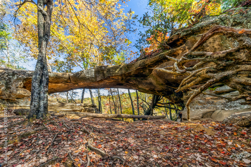 Princess Arch, surrounded by fall color, is one of many natural rock ...