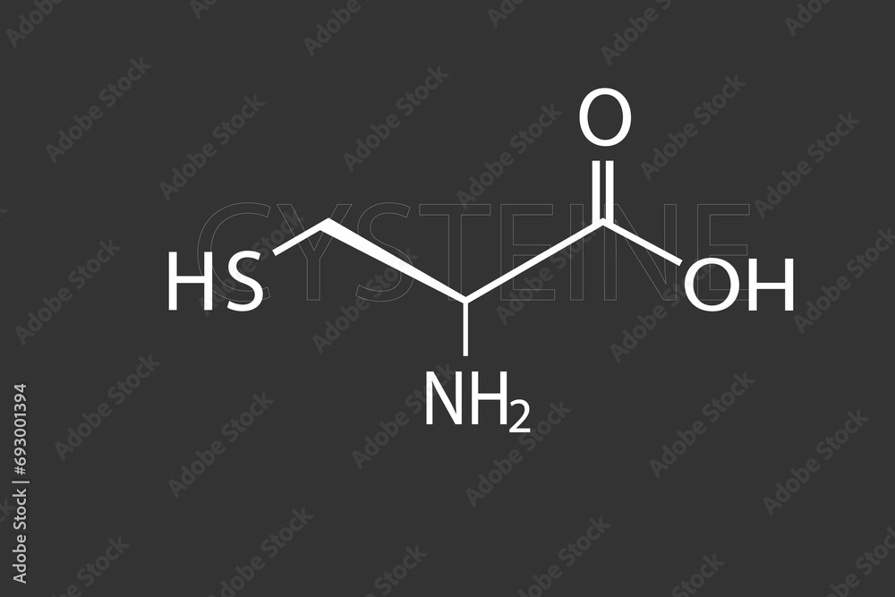 Cysteine molecular skeletal chemical formula Stock Vector | Adobe Stock