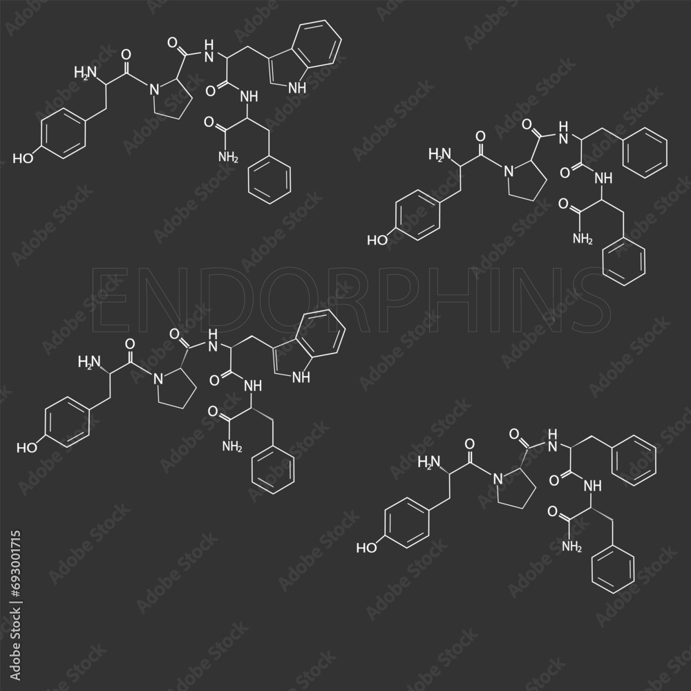 Vetor de Endorphins (group) molecular skeletal chemical formula do ...