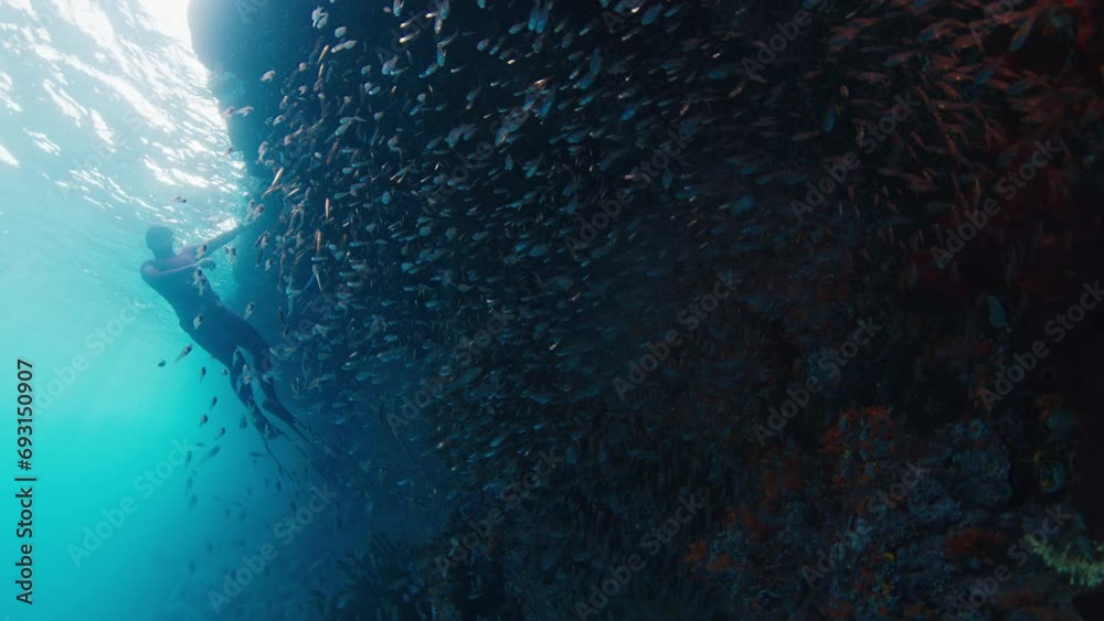 Freediver explores the coral reef in Raja Ampat, Indonesia. Underwater ...