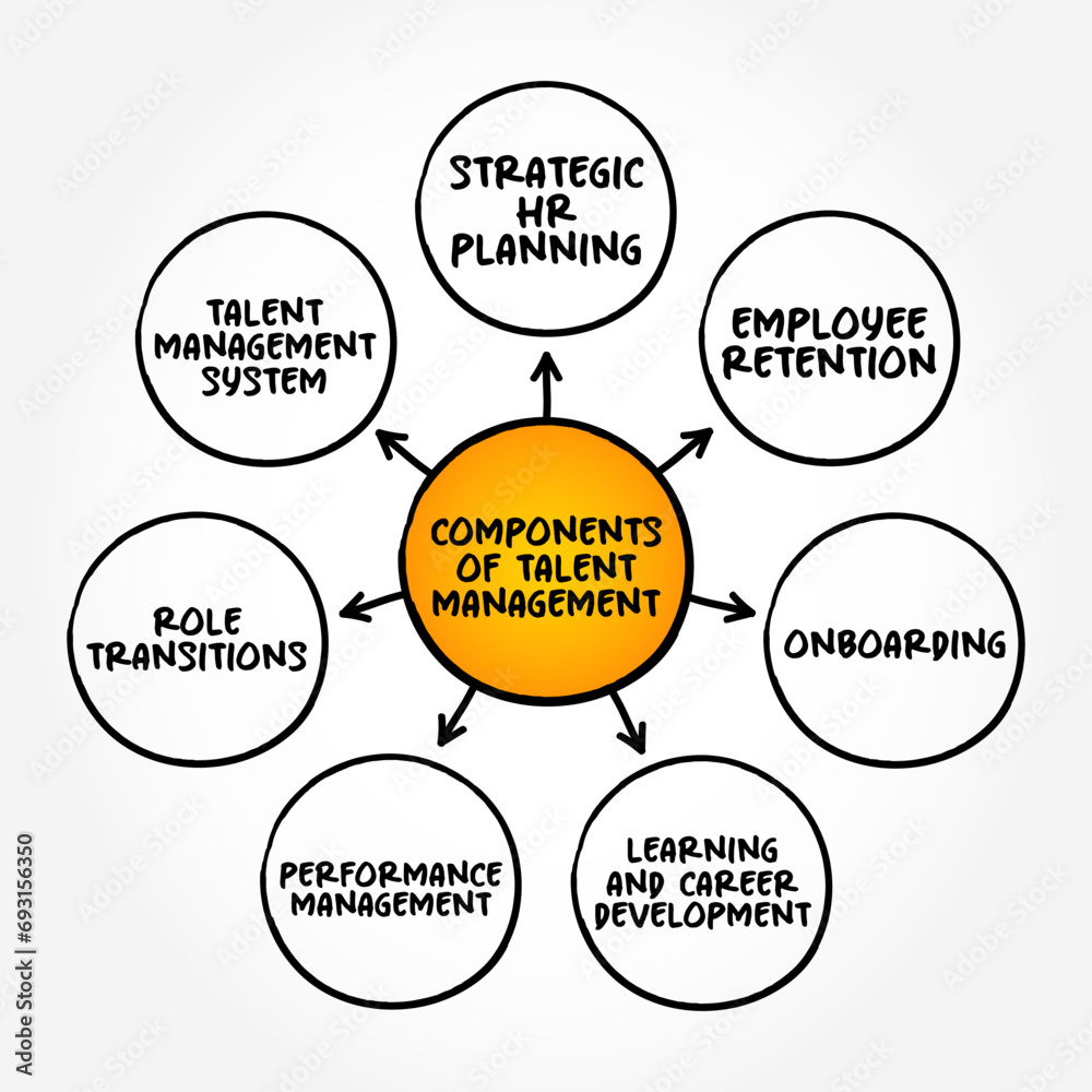 Vecteur Stock Components of Talent Management - anticipation of ...