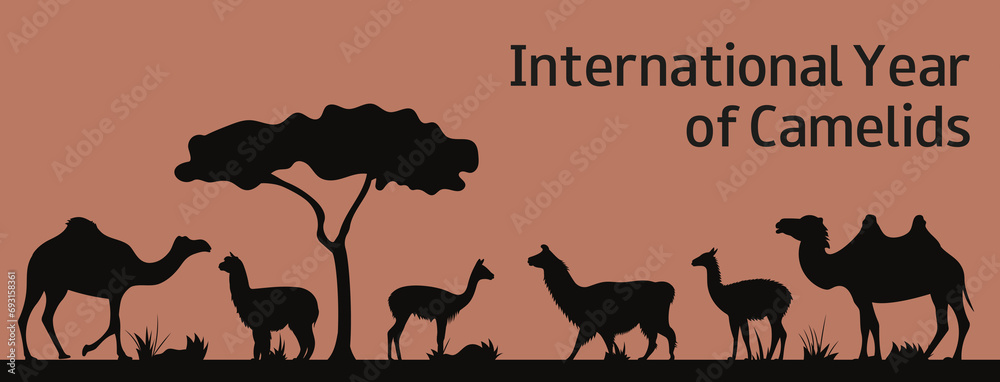 Illustration of a camelids. Bactrian camel, Alpaca, dromedary, guanaco ...