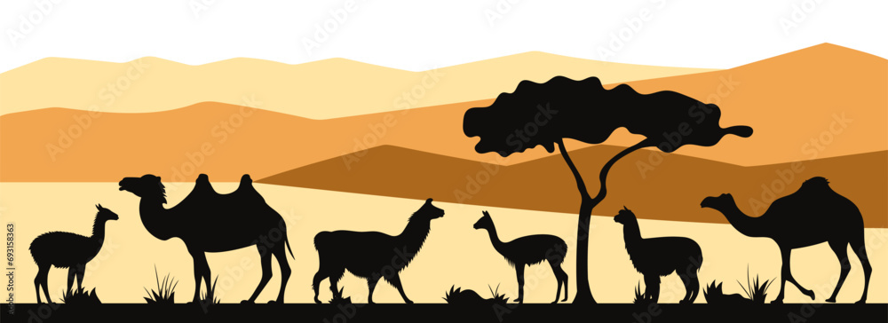 International Year of Camelids. Landscape with bactrian camel, alpaca ...