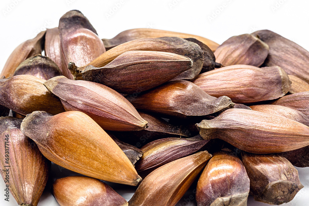 Pinhão is the generic name of the seed of several species of pinaceaes ...