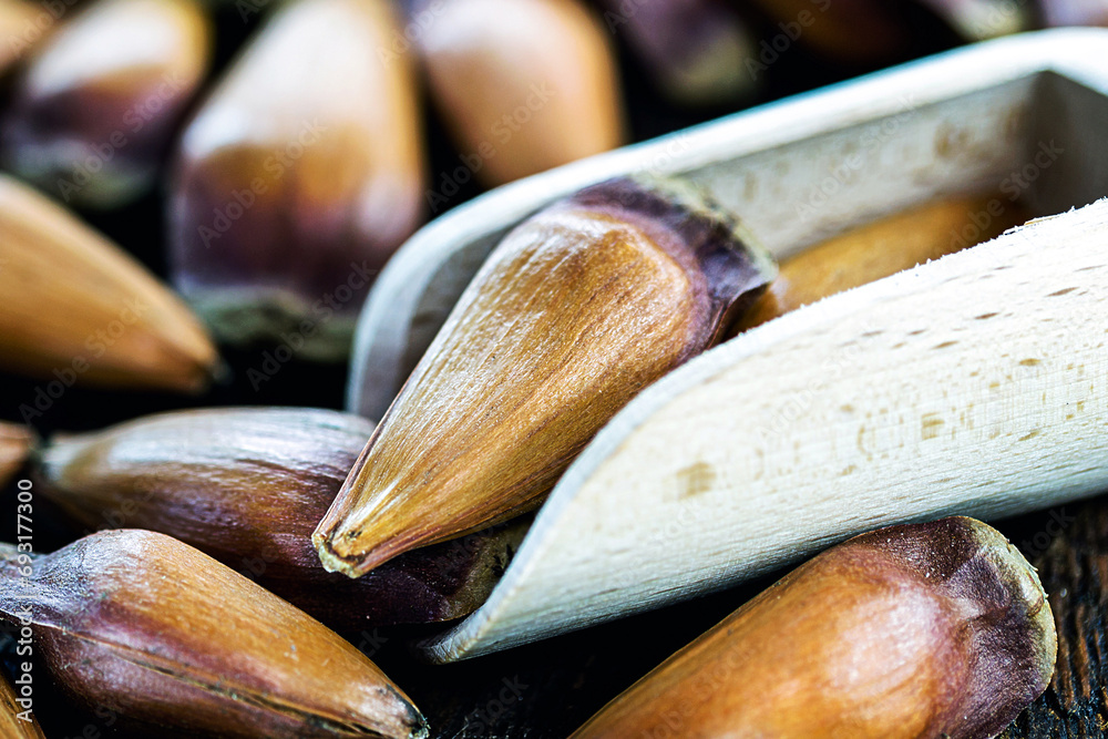 pinhão, Brazilian and European araucaria seed used in the cooking of ...