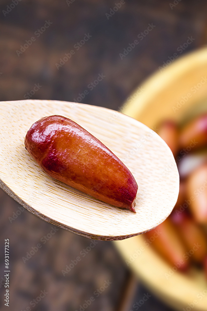 pinhão, Brazilian and European araucaria seed used in the cooking of ...