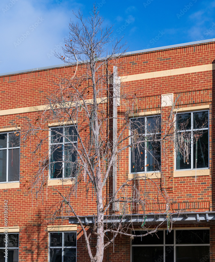 Strands of jewelry and beads hung from the branches of a tree in Baton ...