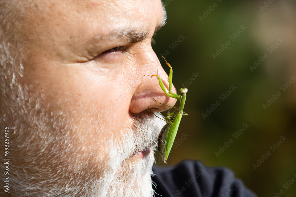 Mantis on nose. Comic and humor sense. Surprised old men with beard and ...