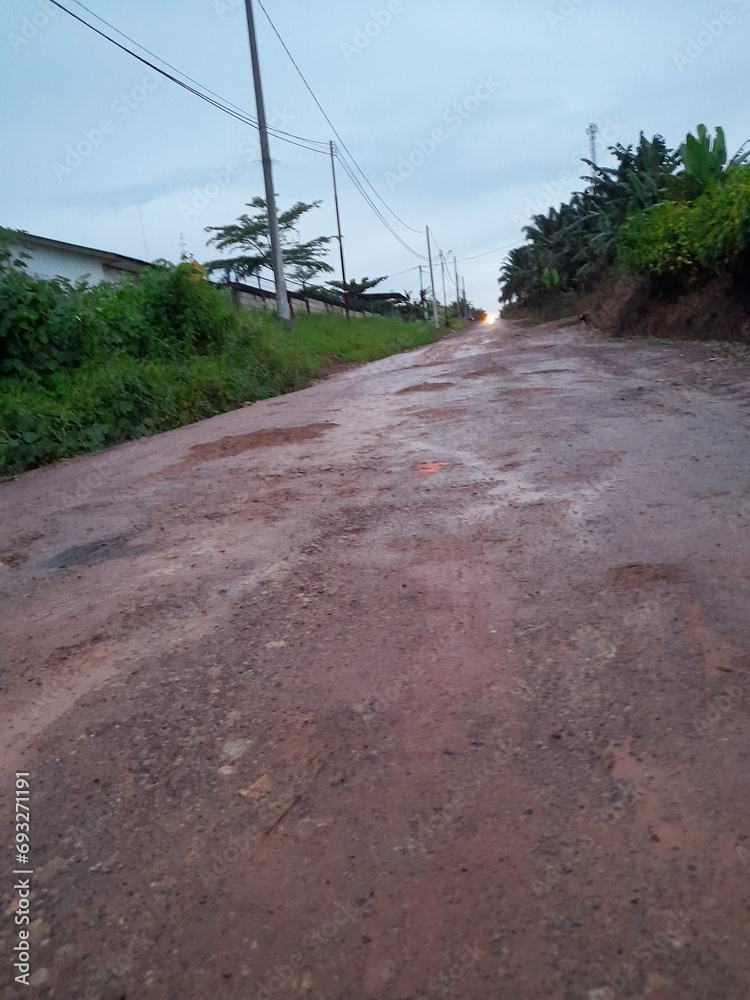 Dirt road - a road in an oil palm plantation, showing oil palm ...