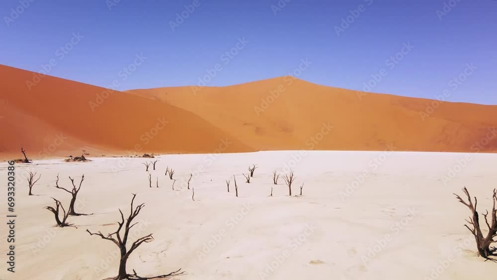 Vidéo Stock 4K Drone Flying Over Dead Camel Thorn Trees in Deadvlei ...