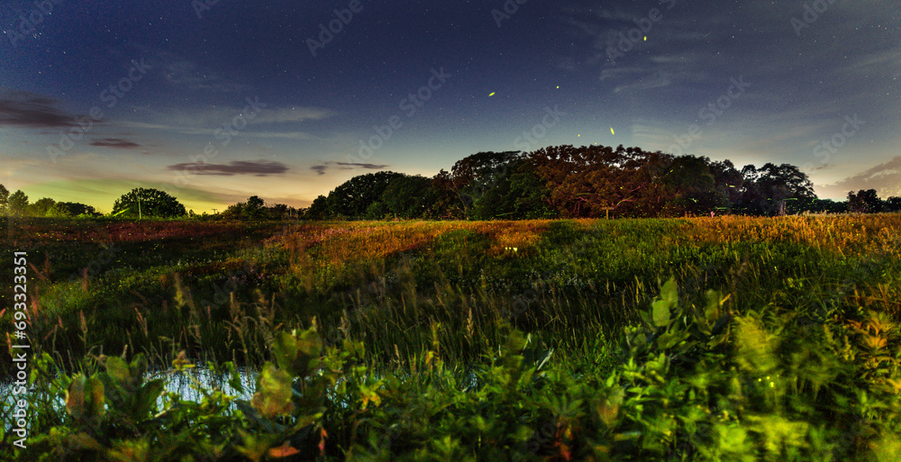 Twilight on a tall grass prairie flourishing with fireflies and ...