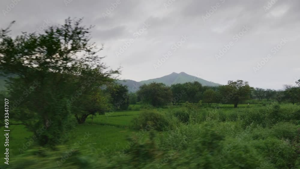 A scenic green monsoon landscape with meadows, farm fields, trees, and ...
