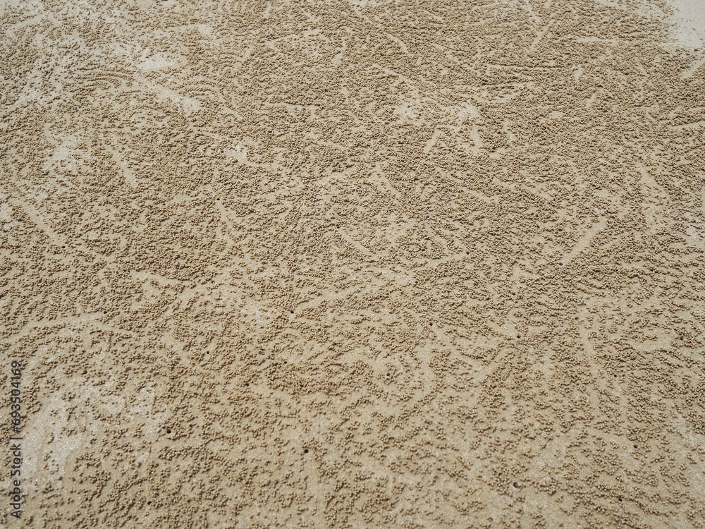 Fine sand grains compacted into tiny spherical pellets lie on the beach ...